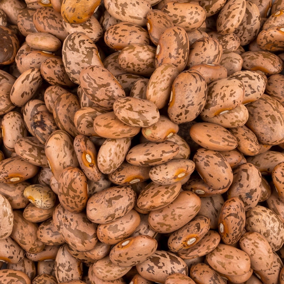 La fajita, la recette emblématique des restaurants Nachos